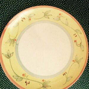 Autumn and Spring Dinnerware, All Season Dinnerware, Year Around Dinner ...