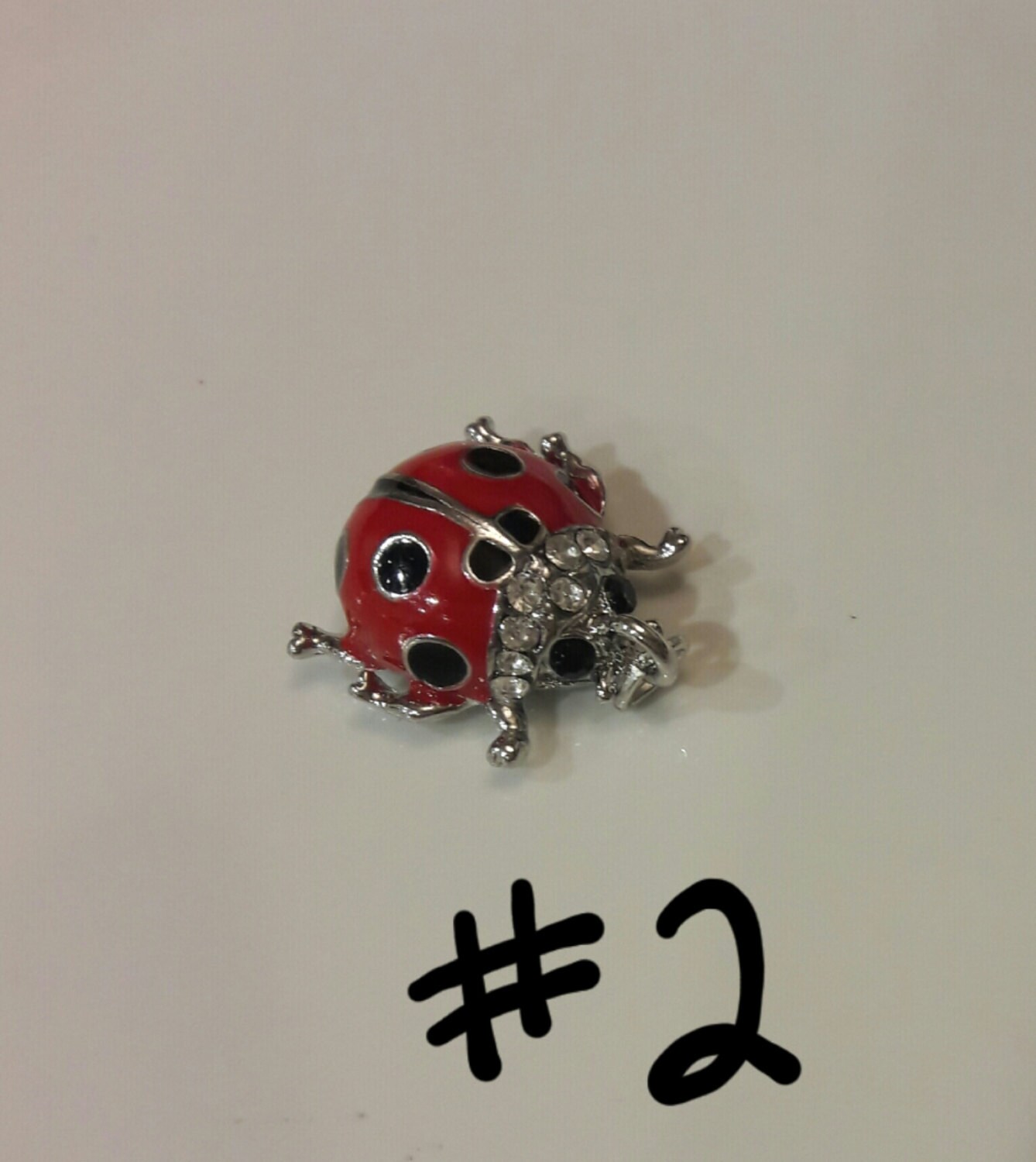 Personalized Ladybug Glass Ornament Black and Red Lady Bug - Etsy