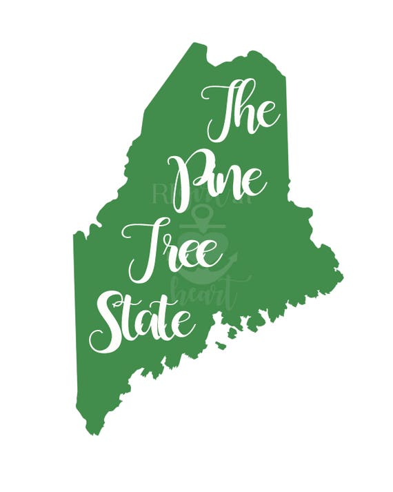 Maines State Tree Name
