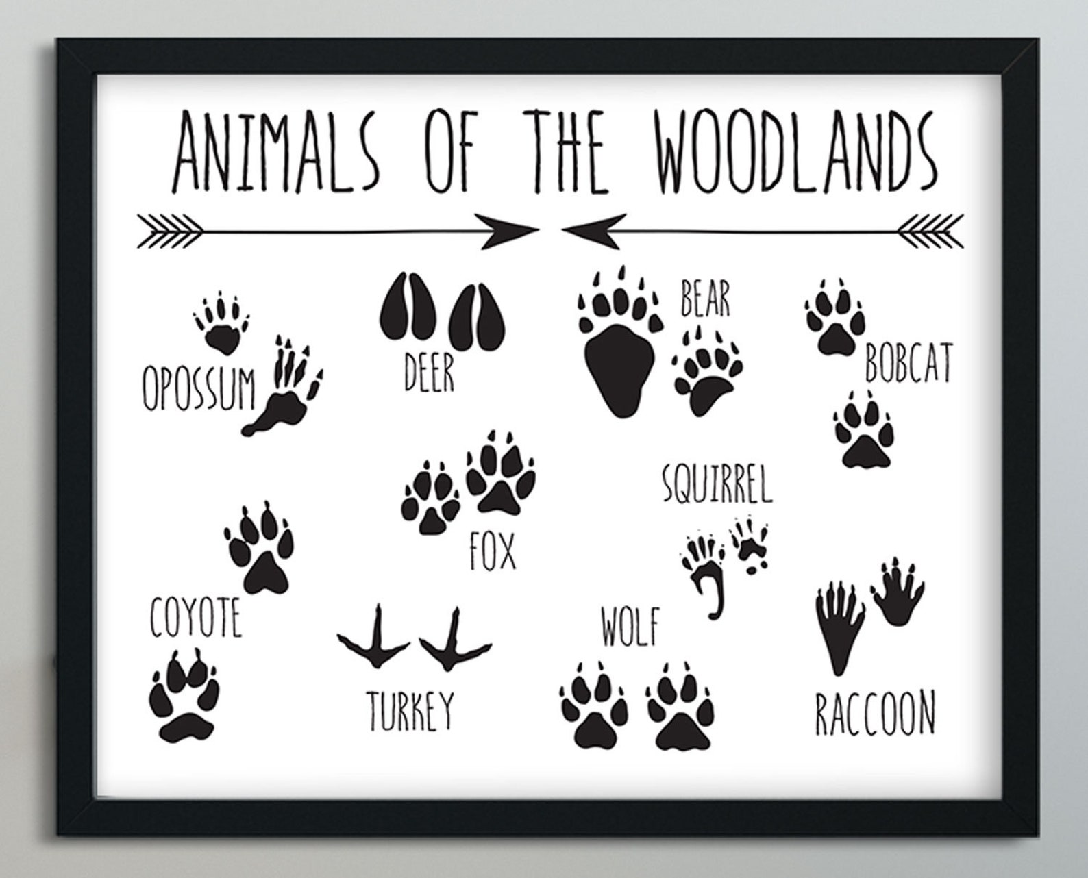Animals of the Woodland Nursery Print, - UNFRAMED- Animal Tracks ...