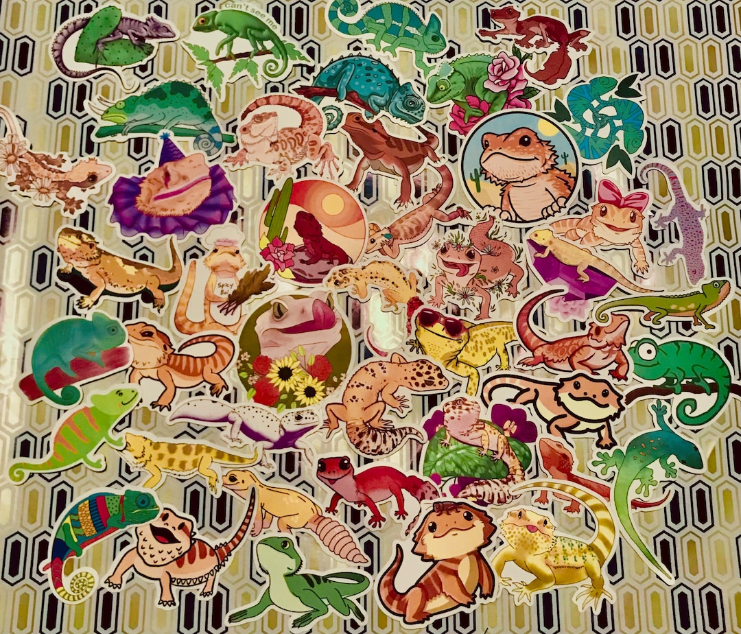 Reptile Stickers: (random 5 Pack) Bearded Dragons, Leopard Geckos and ...