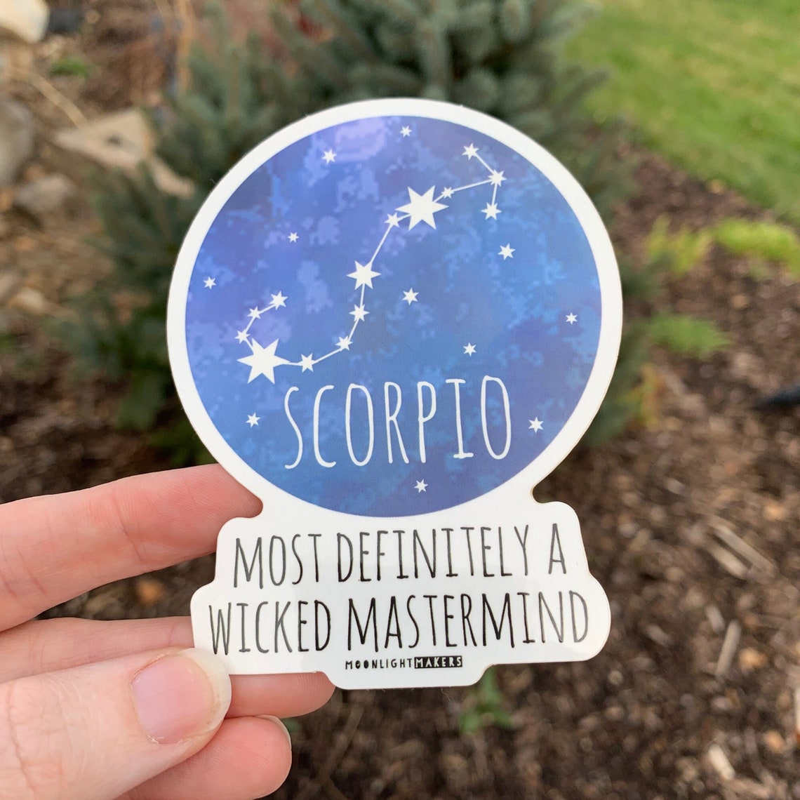 Scorpio Star Sign Zodiac Sticker Bumper Sticker Car Sticker - Etsy