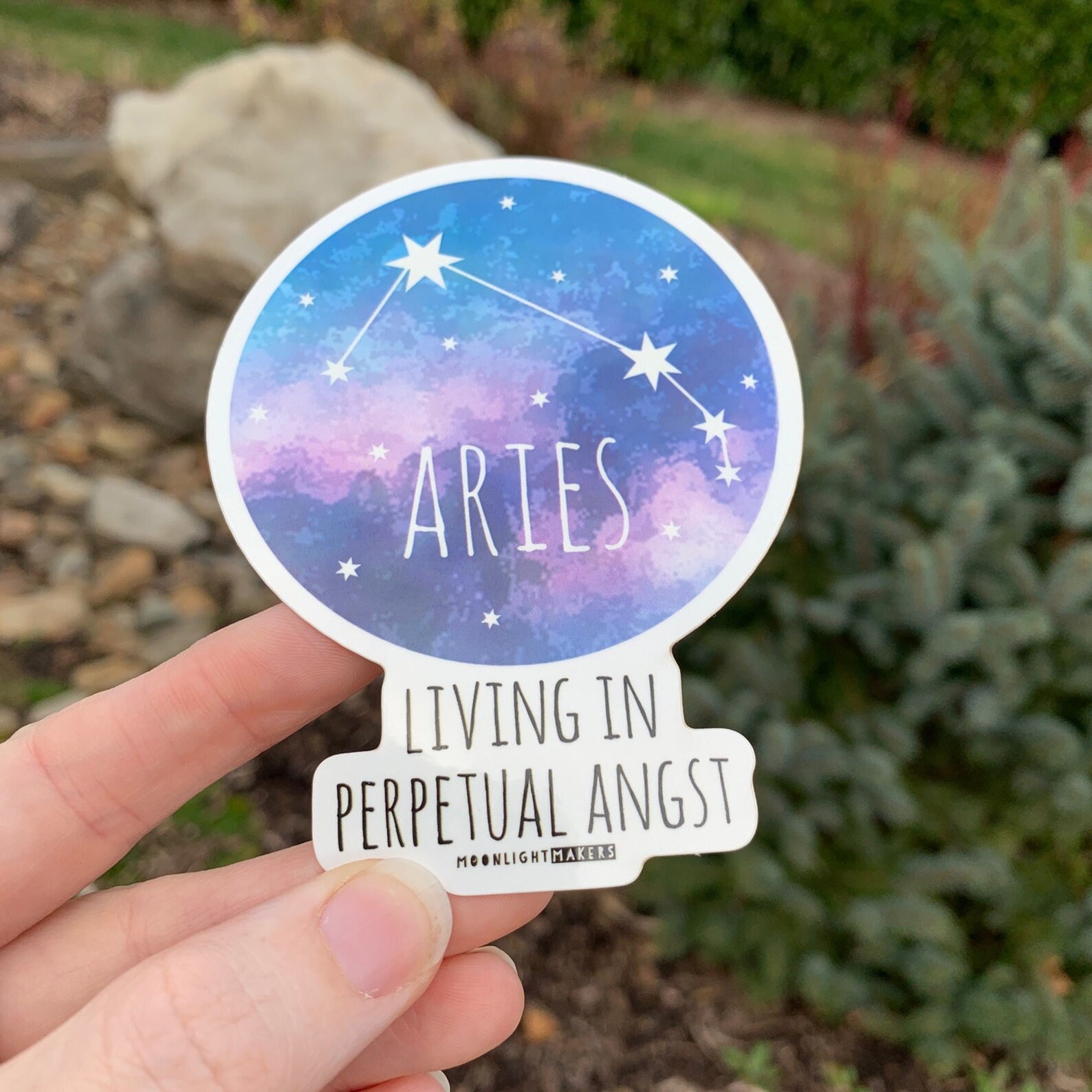 Aries Star Sign Zodiac Sticker Bumper Sticker Car Sticker - Etsy