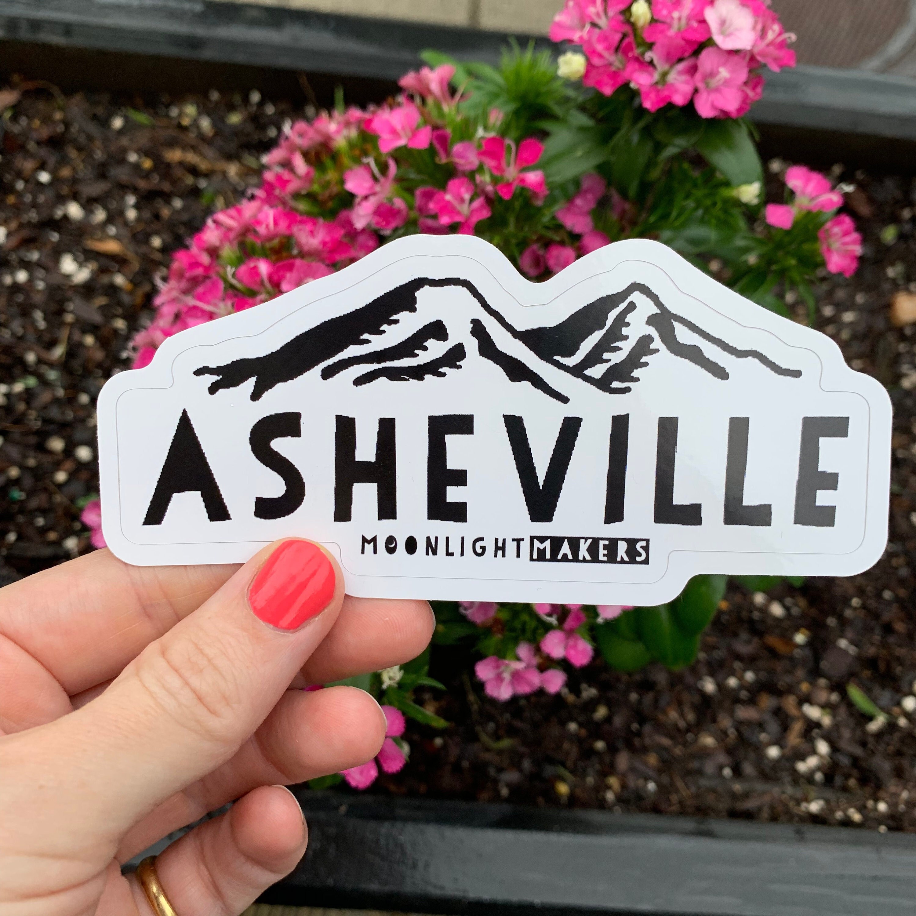 Asheville Sticker Bumper Sticker Car Sticker Vinyl Bike - Etsy