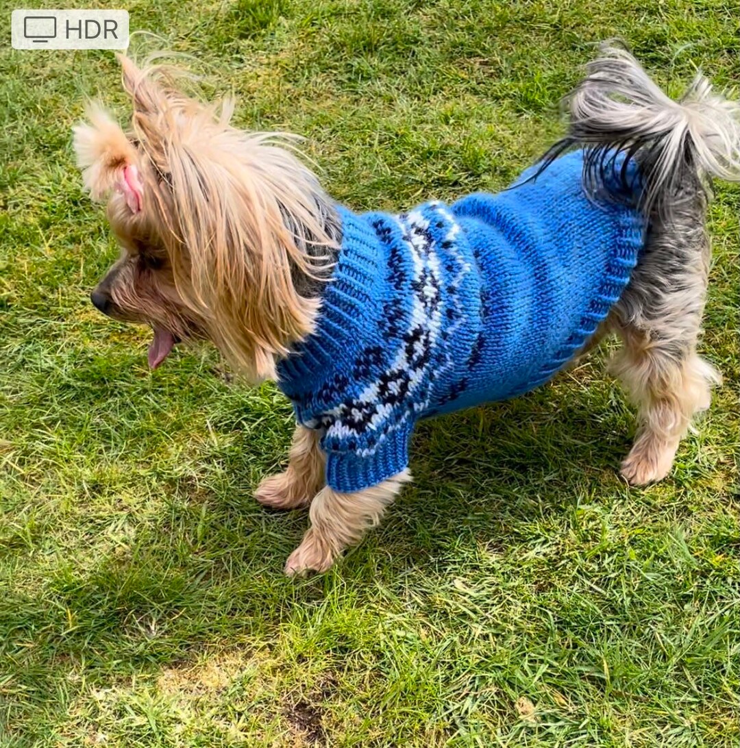 Blue Yoke Dog Sweater Knitting Pattern, Top Down Knit for Small Medium ...