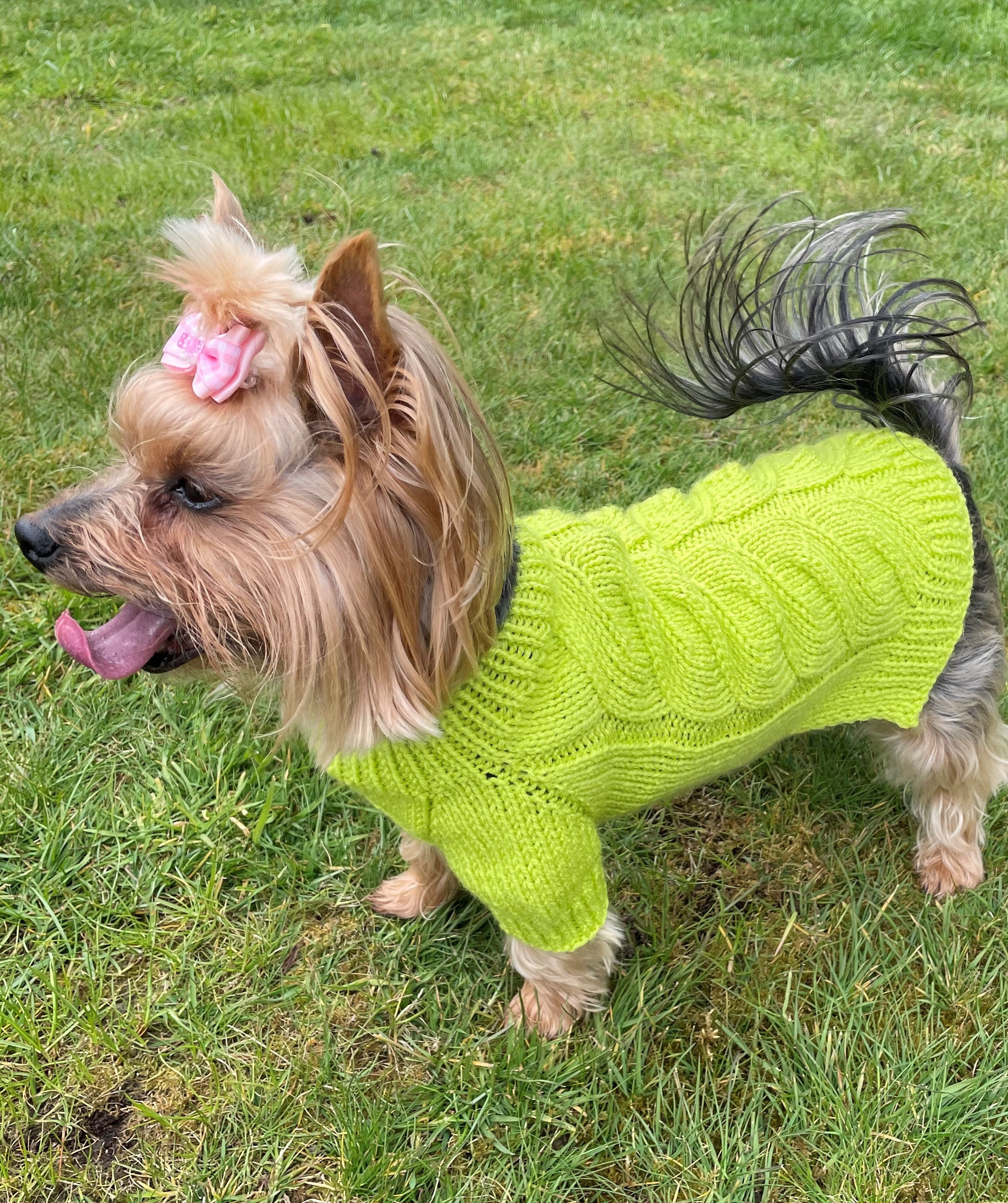 Sweater Knit Pattern For Yorkie