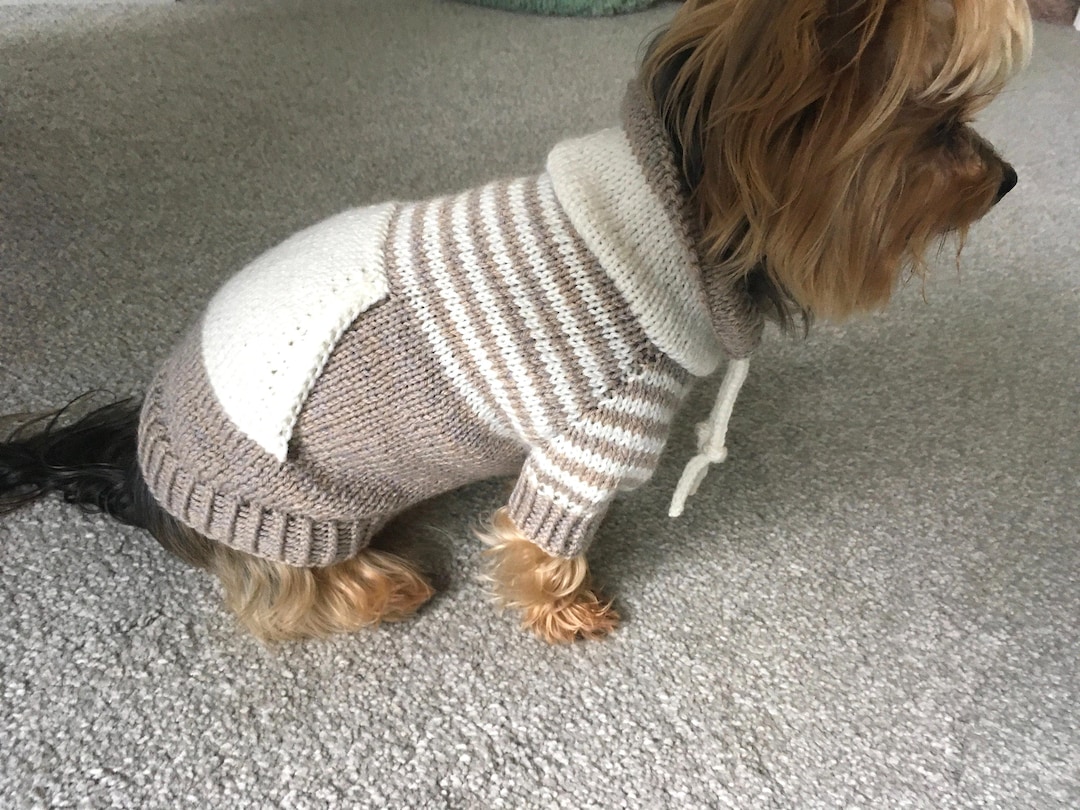 Modèle de tricot de pull pour chien avoine, PDF de haut en bas de pull ...