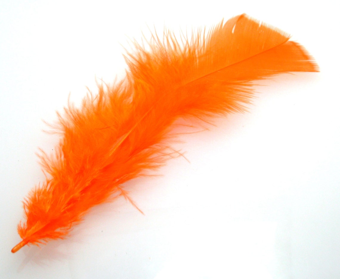 Orange Feathers, Sold in Packs of 10 or 50 Pieces, 150mm ( 5.90 Inches ...
