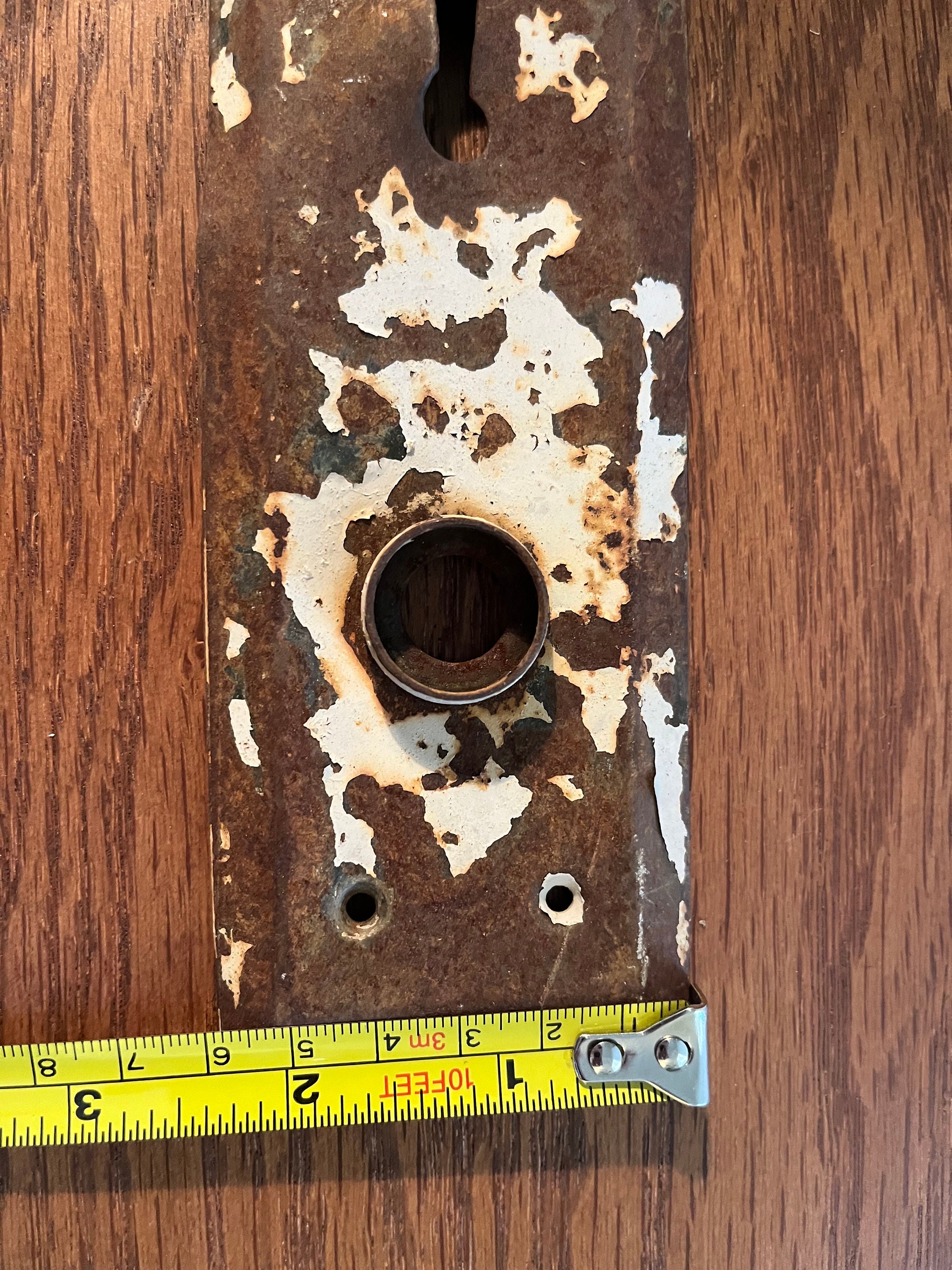 Vintage Lot 8 Rusty Crusty Iron Hinges, Backplate, Springed Hinge ...