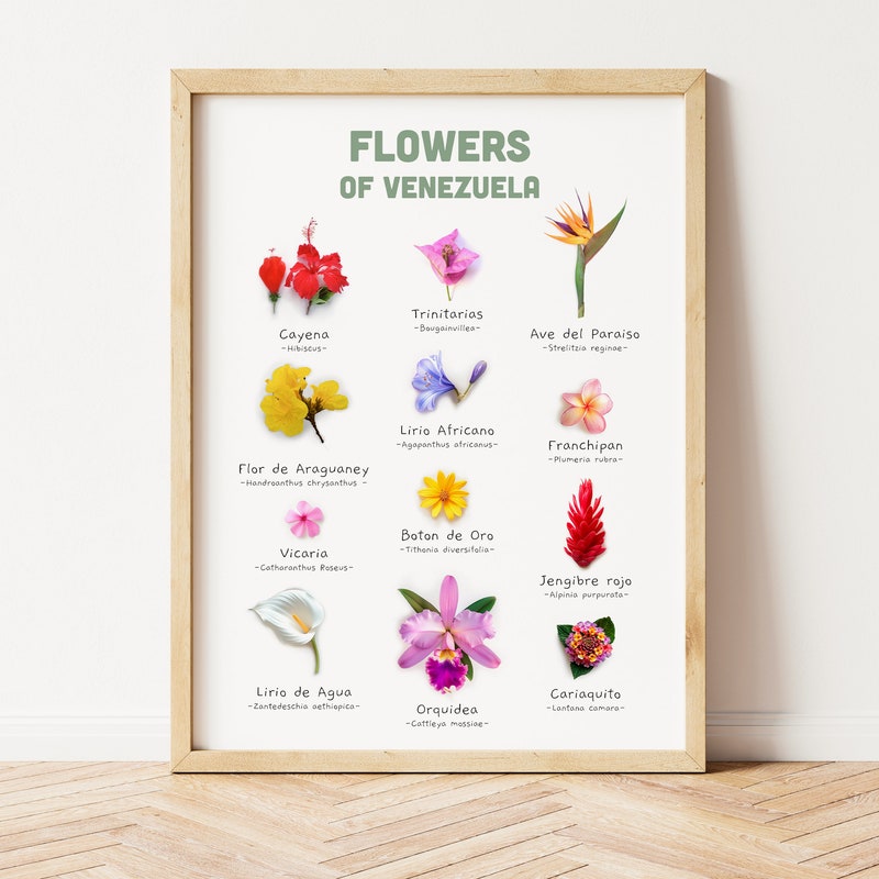 Venezuelan Wall Art - Etsy