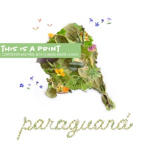 Paraguaná, Venezuela Art, Falcón Venezuela, Paraguaná Map Made With ...