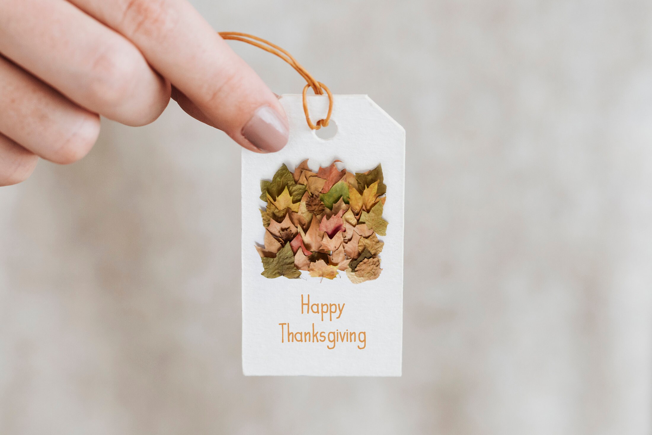 Thanksgiving Gift Tags Printable Favor Tags Happy Thanksgiving Gift ...