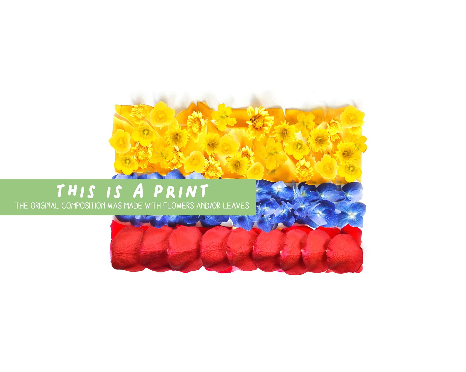 Colombia, Colombia Art, Colombia Poster, Colombia Home Decor, Colombia ...