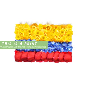 Colombia, Colombia Art, Colombia Poster, Colombia Home Decor, Colombia ...