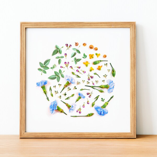 Modern Botanical Art - Etsy
