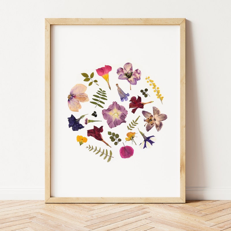 Pressed Flower Print - Etsy