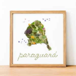 Paraguaná, Venezuela Art, Falcón Venezuela, Paraguaná Map Made With ...