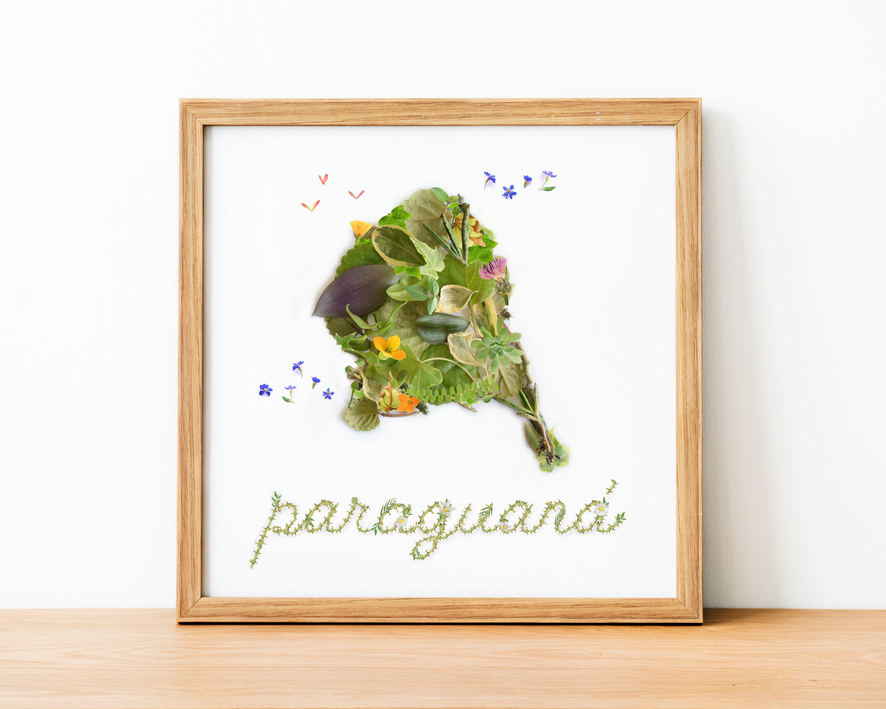 Falcon Venezuelan - Etsy