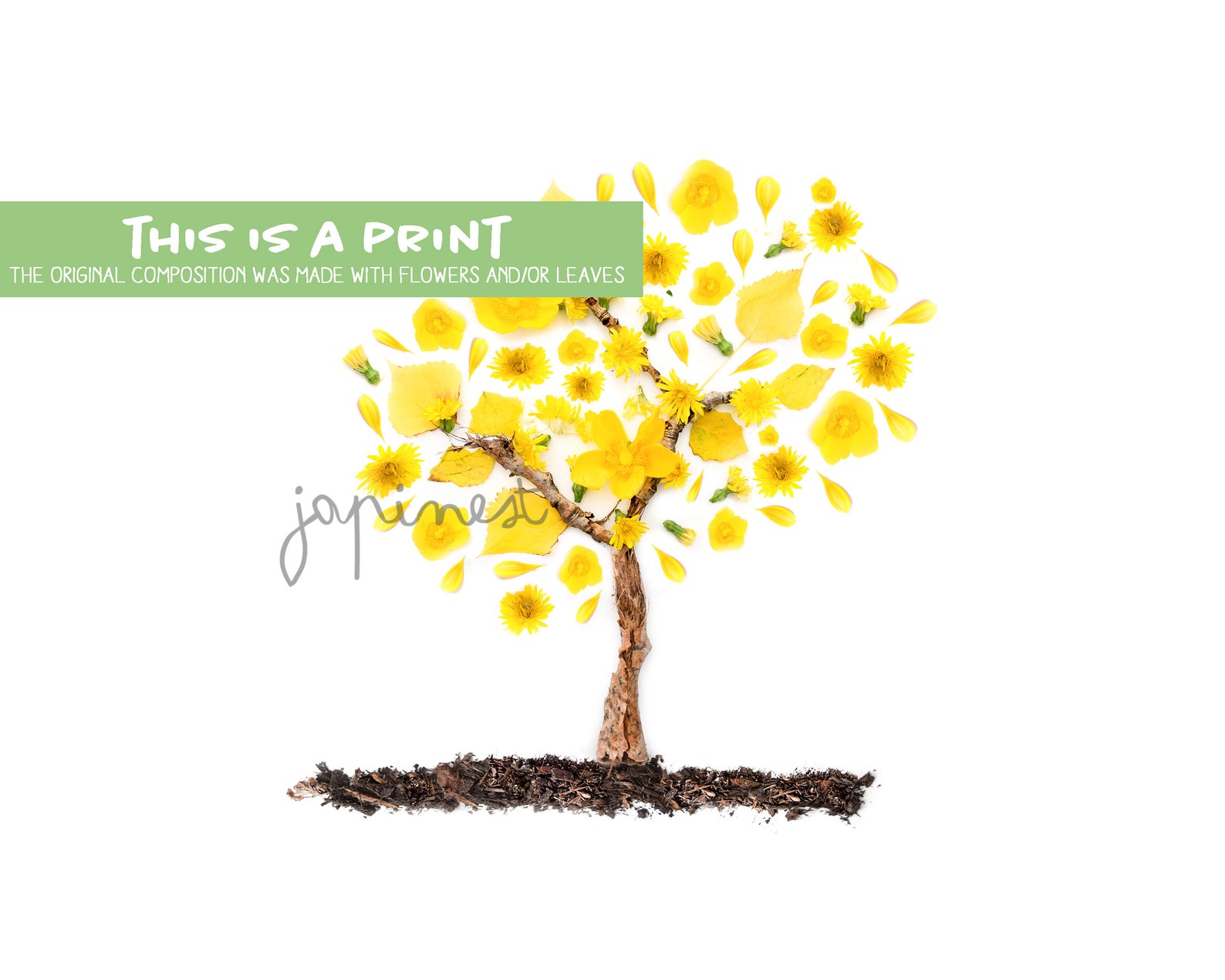 Venezuela Art set of three patriotic symbols of Venezuela | Etsy