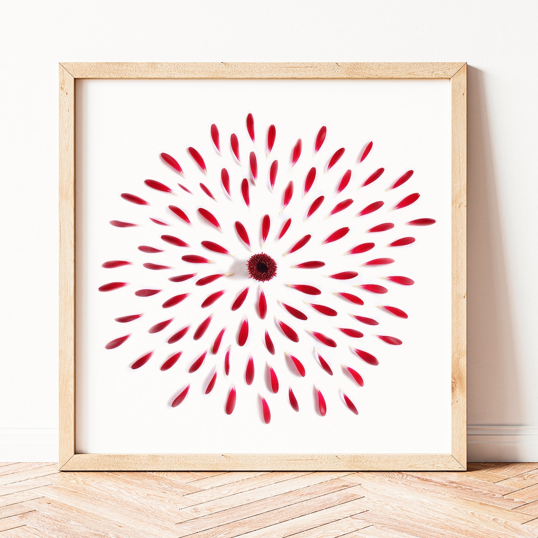 Red Gerbera Daisy Print, Vibrant Botanical Wall Art - Etsy