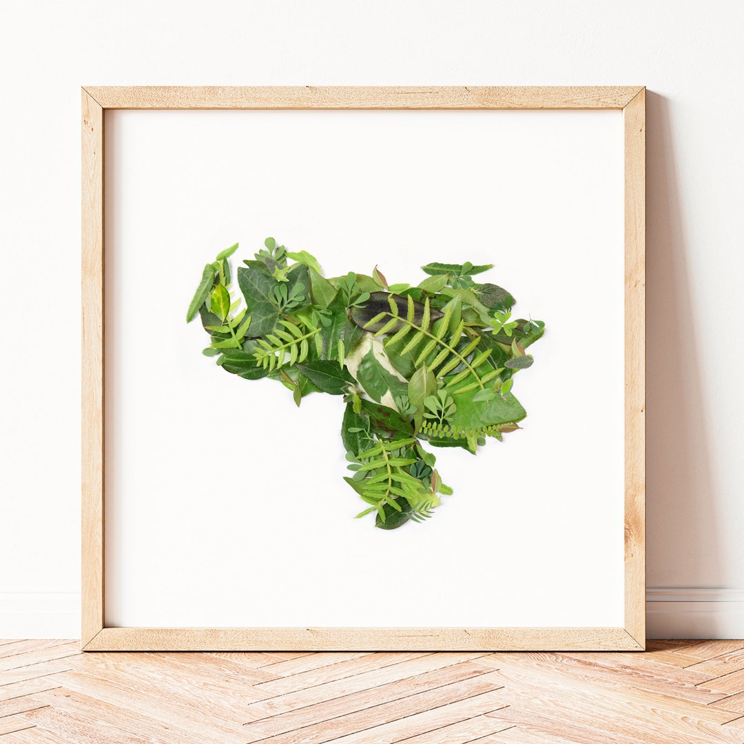 Venezuela, Venezuela Art, Map of Venezuela Made With Green Leaves ...