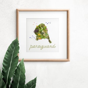 Paraguaná, Venezuela Art, Falcón Venezuela, Paraguaná Map Made With ...