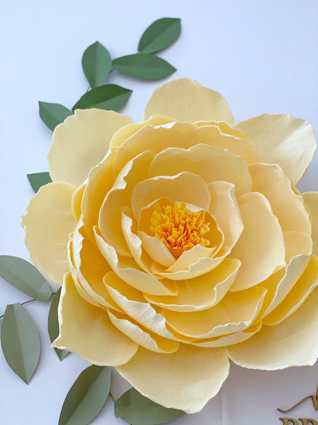 Light Yellow Flower, Yellow Backdrop Prop, Yellow Paper Flower - Etsy