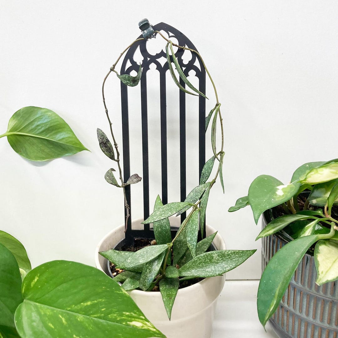 Gothic Plant Trellis, Plant Support, Plant Lover Gift, Plant Stake ...