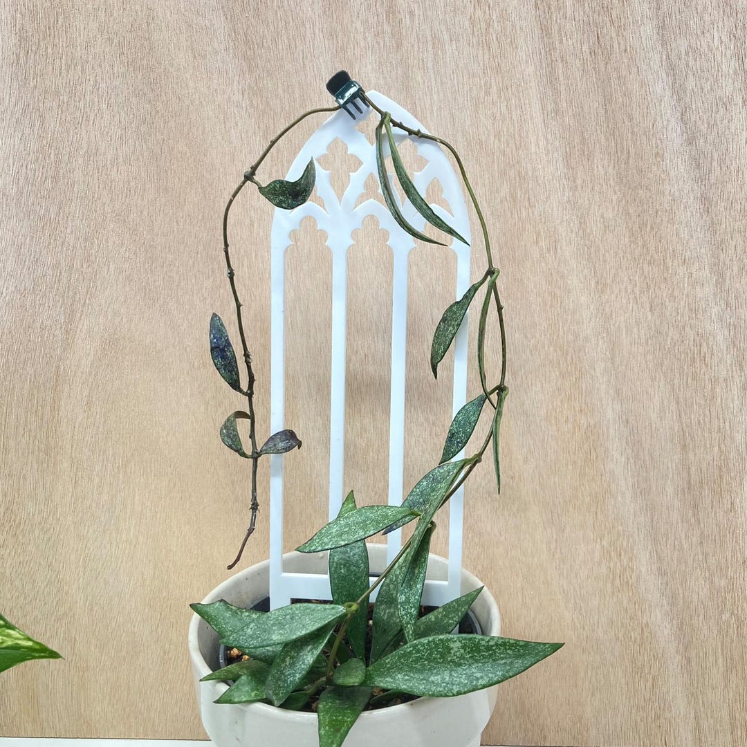 Gothic Plant Trellis, Plant Support, Plant Lover Gift, Plant Stake ...