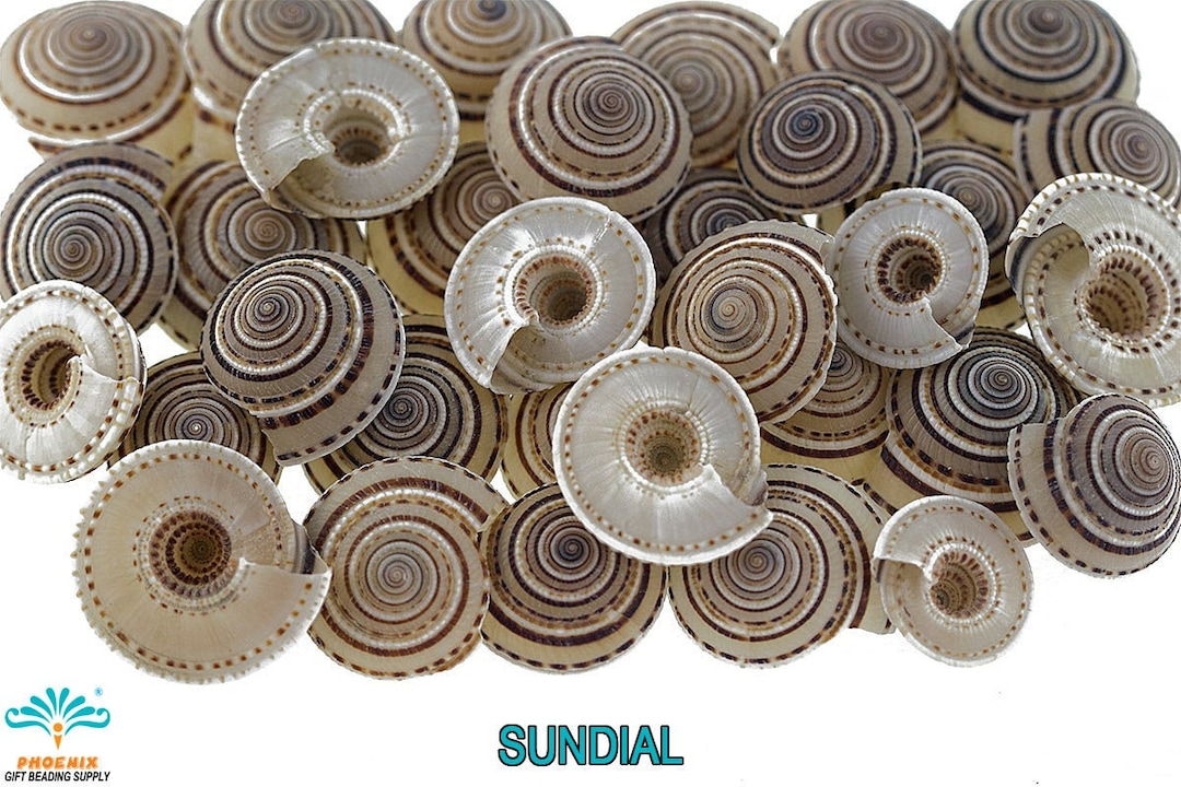Sundial 5 Pieces Size 1" to 1 1/2" . - Etsy