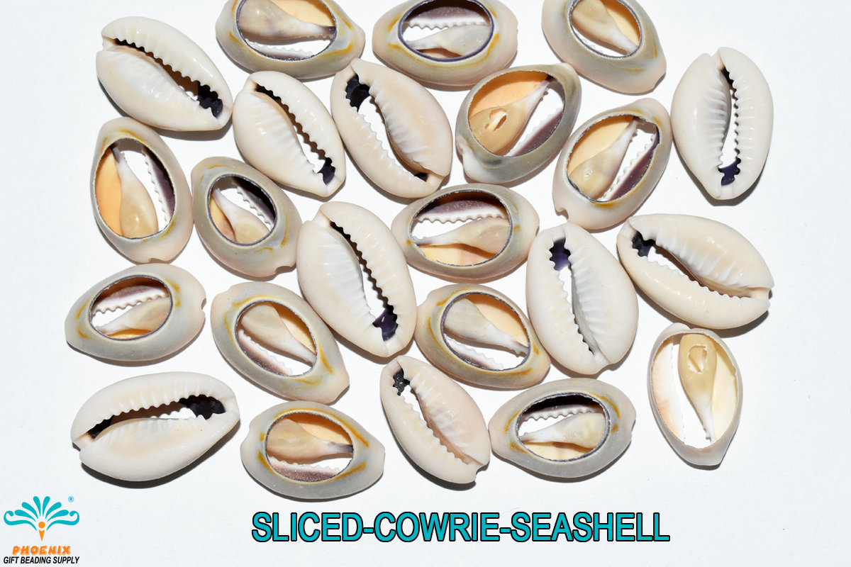 Sliced Cowrie Seashell 1oz About 35pcs 2oz About 70pcs | Etsy
