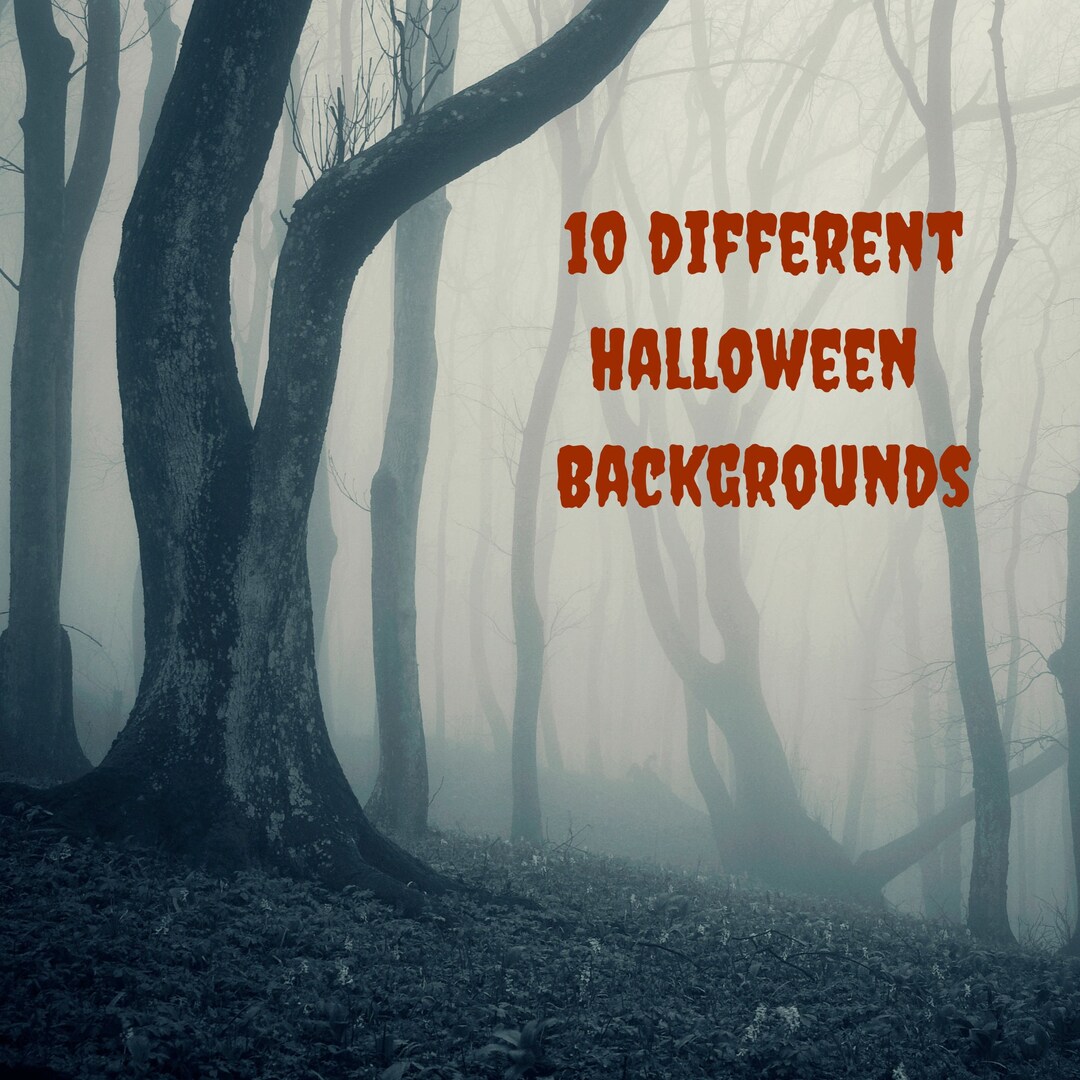 Halloween Background Photography Backdrop, Skull Background, Portrait ...
