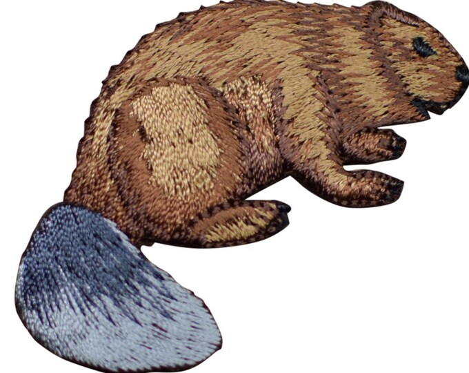 Beaver Applique Patch Nocturnal Rodent Badge 2.5 iron On - Etsy