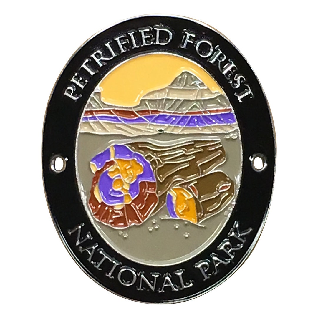 Petrified Forest National Park Walking Stick Medallion - Etsy