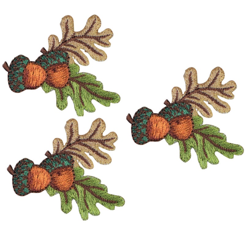 Colorful Acorns - Etsy