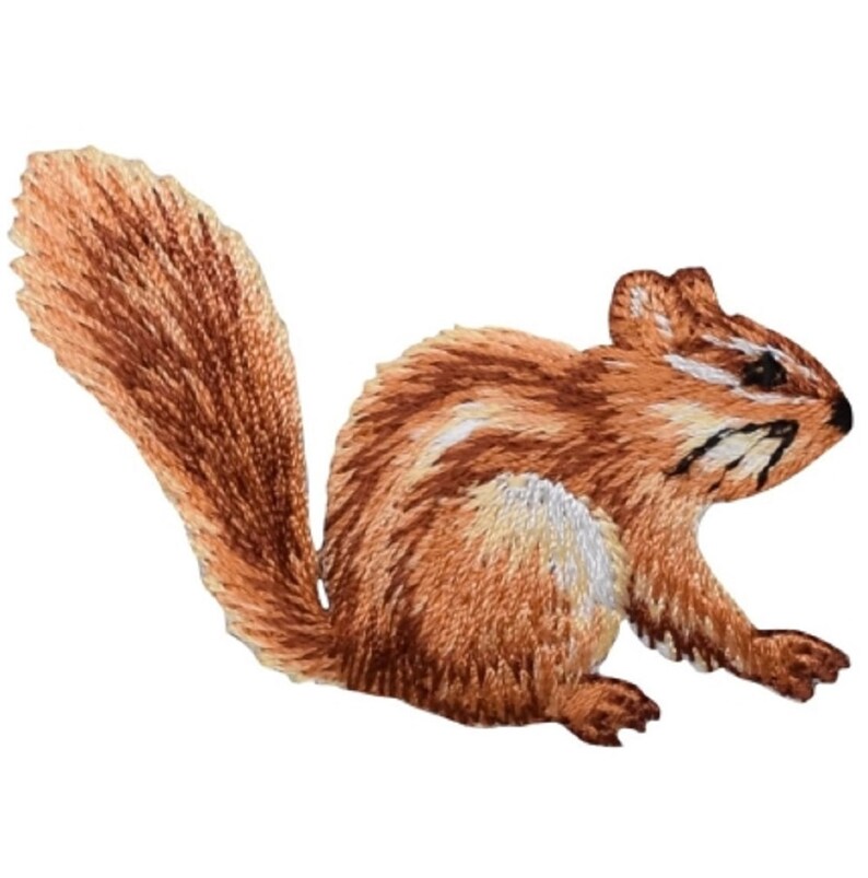 Chipmunk Applique Patch Rodent Animal Badge 2.25 iron - Etsy