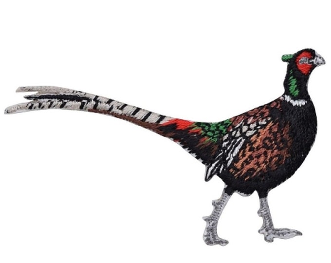 Mounted Pheasant - Etsy
