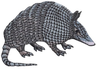 RPG Mini TTRPG DND Custom-painted Ferocious Were-Armadillo Miniature ...