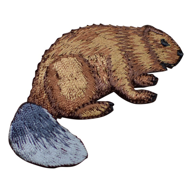 Beaver Applique Patch Nocturnal Rodent Badge 2.5 iron - Etsy