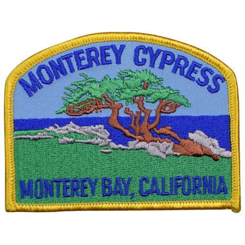 Monterey Patch Cypress Tree California Badge 3.5 - Etsy