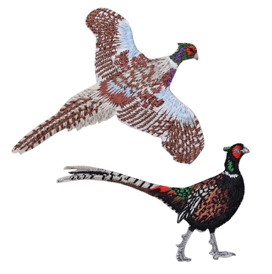 Ring-necked Pheasant Applique Patch Set - Bird Badge 3" (2-pack, Iron ...
