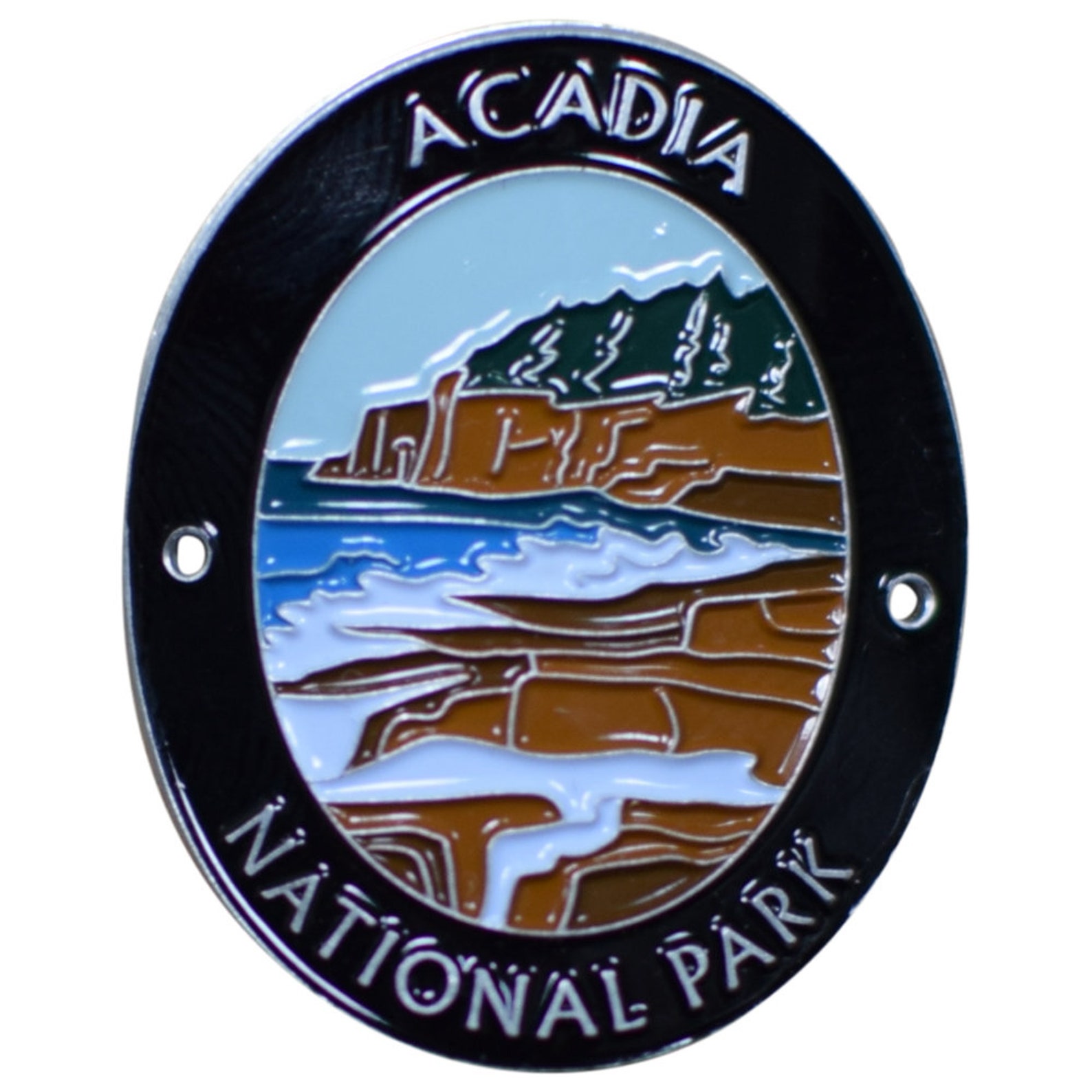 Acadia National Park Walking Stick Medallion Maine Souvenir - Etsy