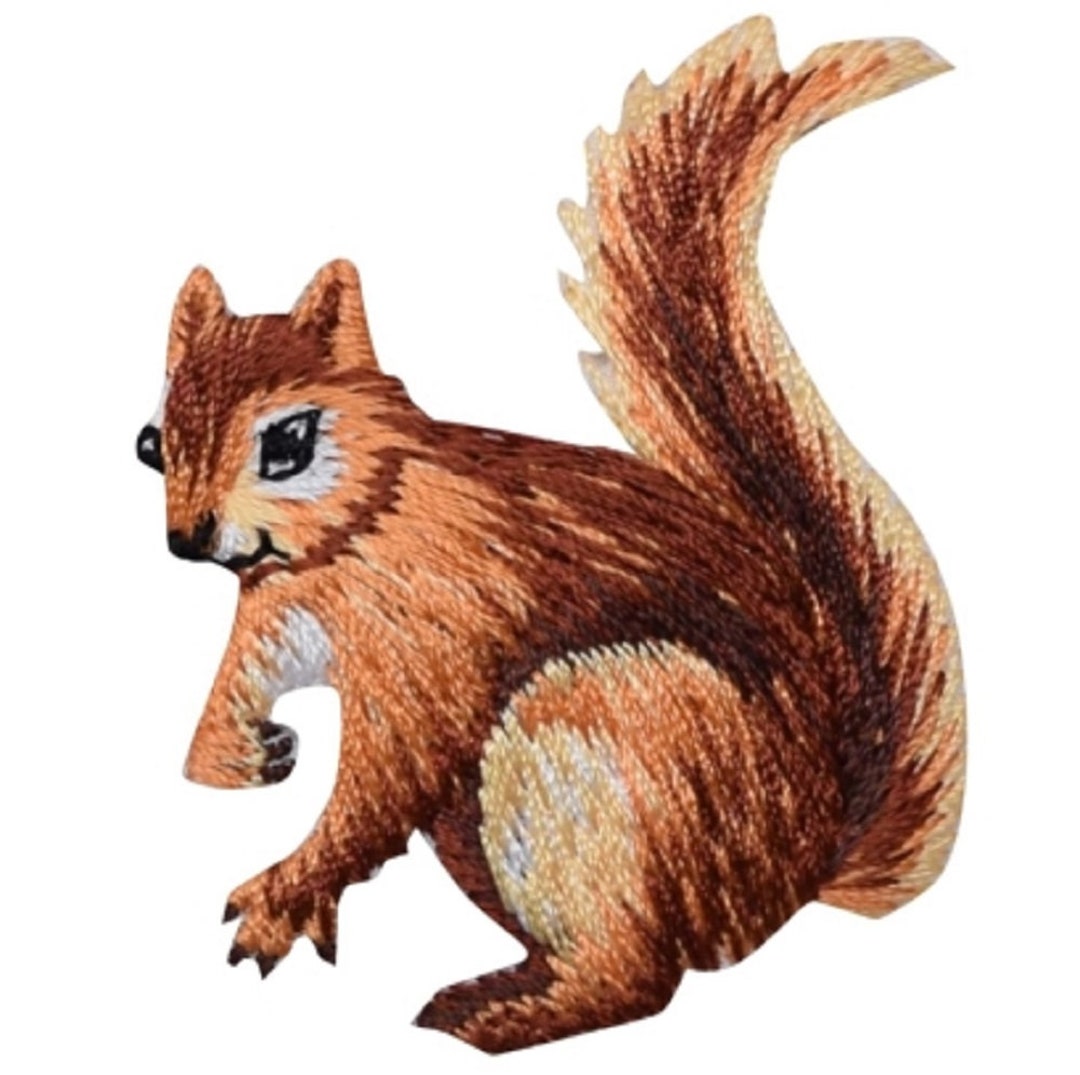 Squirrel Applique Patch - Animal Badge 1.75" (iron On) - Etsy