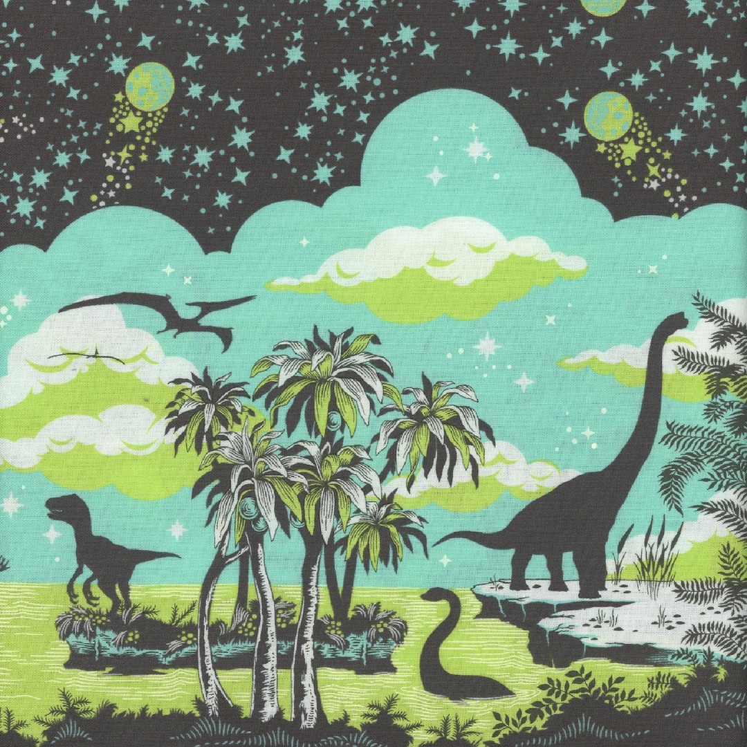 Tula Pink Meteor Showers in Storm Roar for Free Spirit Fabrics 1/2 YARD ...