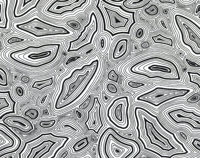 Tula Pink Read Between the Lines Linework in Paper 1/2 YARD Zebras 100% ...