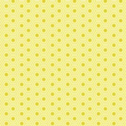 Agave Pom Poms by Tula Pink for Free Spirit Fabrics - Etsy