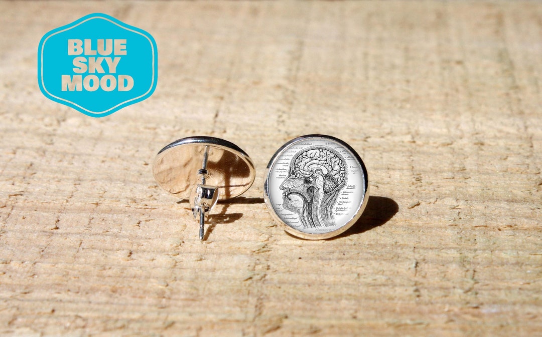 Anatomical Brain Stud Earrings: Handmade Medical Jewelry ...