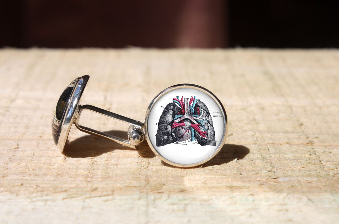 Vintage Anatomy Lungs Cufflinks, Lungs Cuff Link, Doctor Student Glass ...