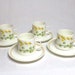 Vintage (1970s) Mikasa Cup and Saucer Set - Nature's Garden Bone China ...
