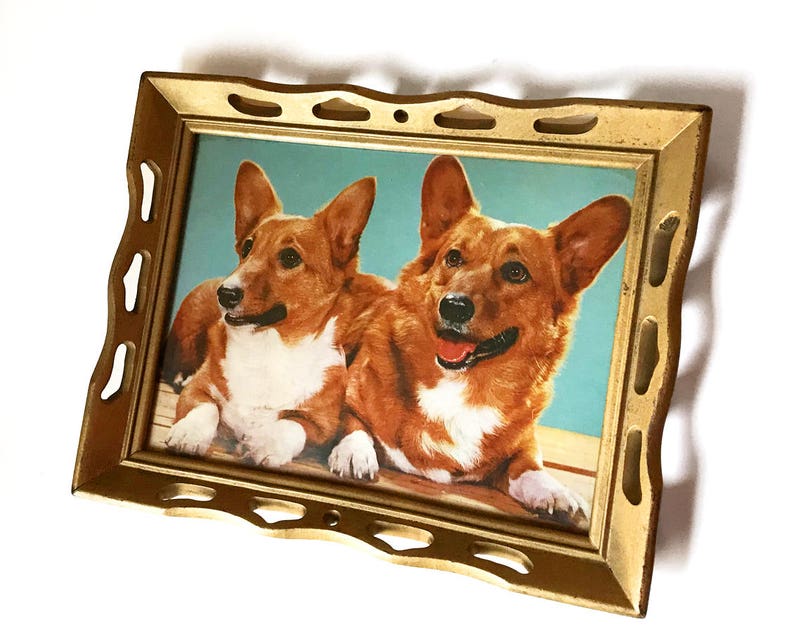 Vintage Corgi Tray - Vintage Dog Photo Tray - Dog Tray - Etsy
